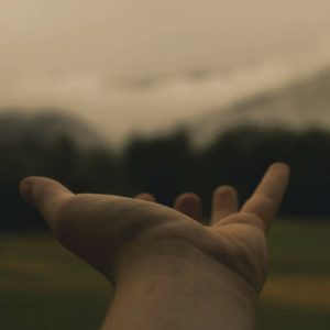 The Power of Reaching Out: Showing Up for Others - Take Root Therapy