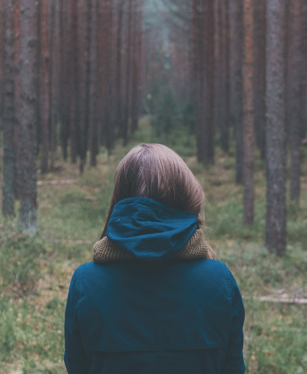 Los Angeles Therapy for Anxiety & Trauma | Take Root Therapy