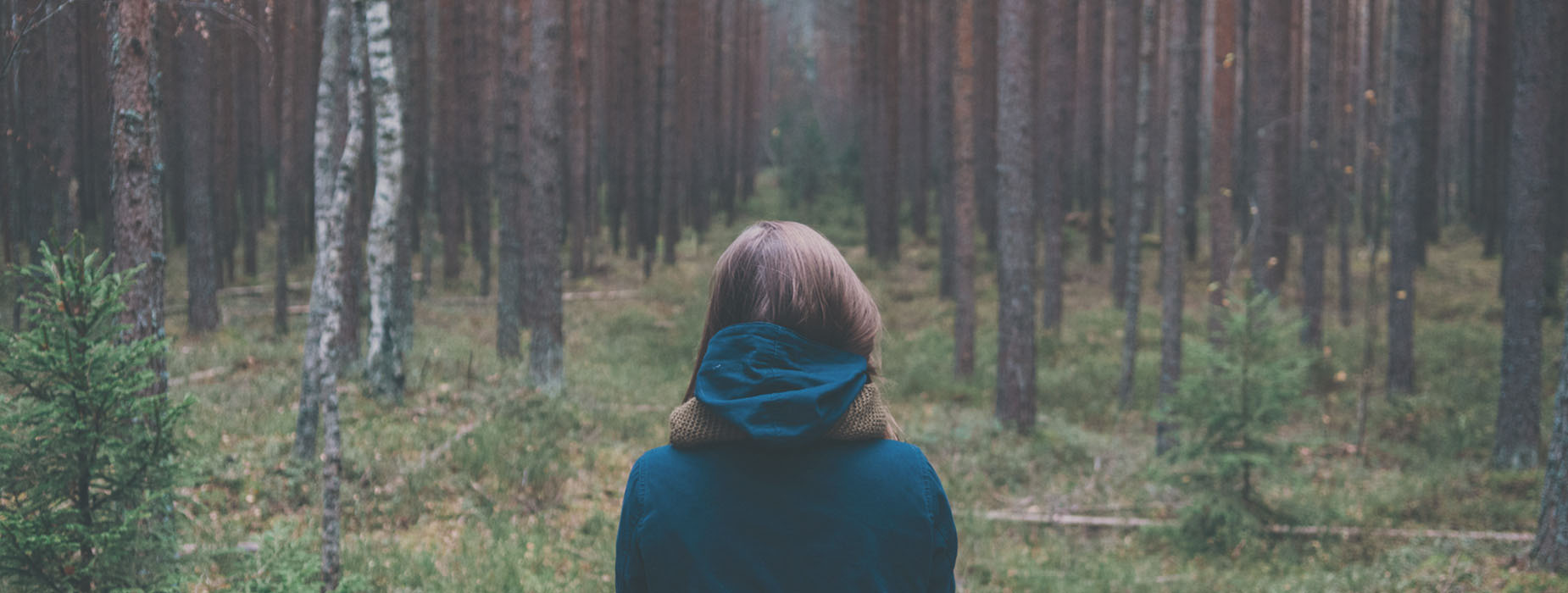 Los Angeles Therapy for Anxiety & Trauma | Take Root Therapy